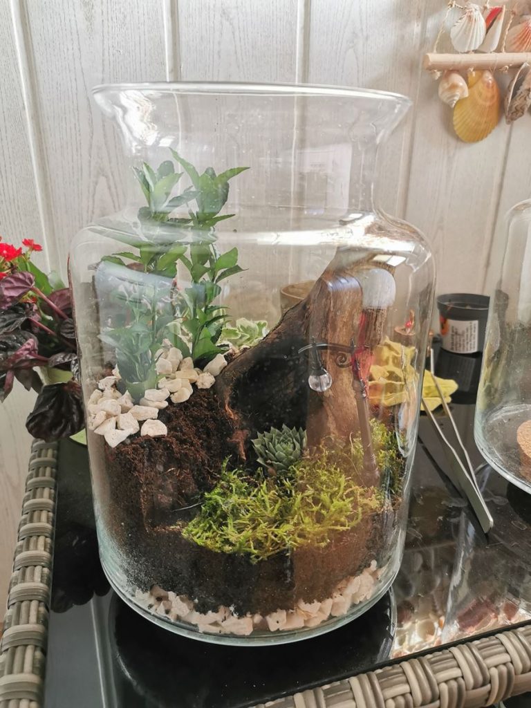 Floráriumot készítenél? Ezekre figyelj! – Otthonlap.hu